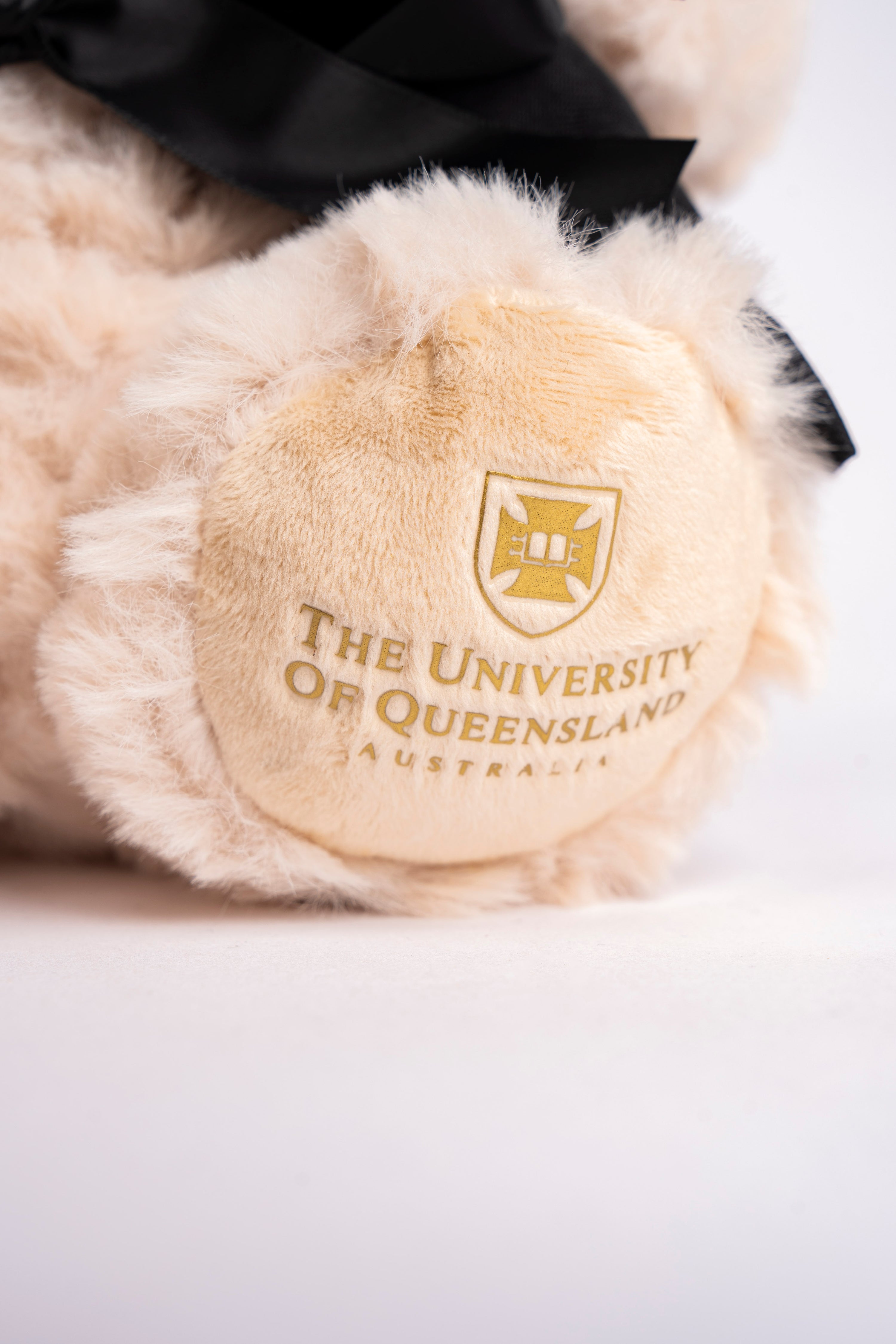 Graduation Gifts – UQ Shop