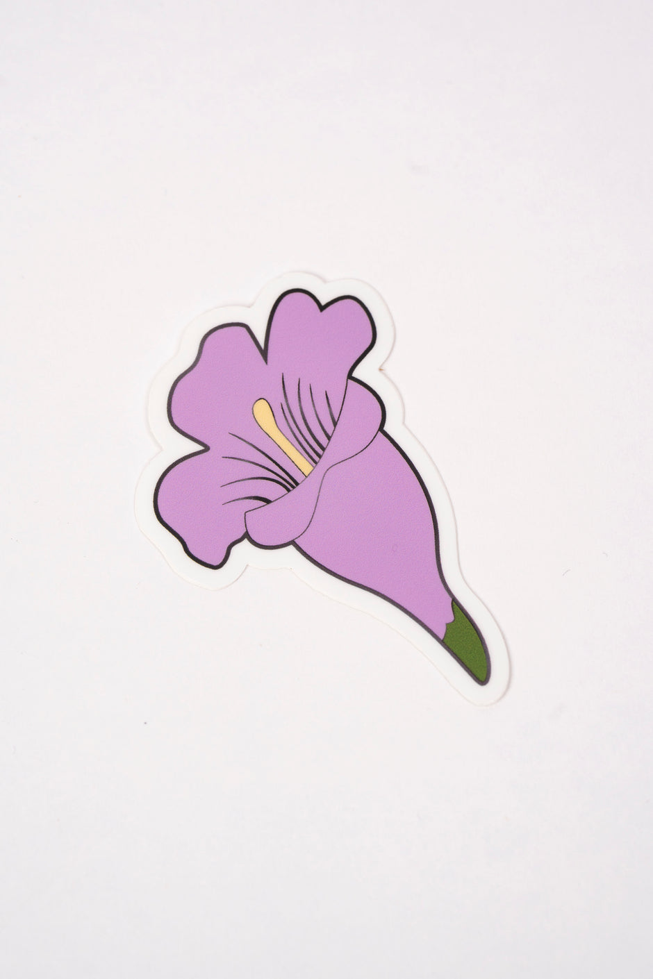 Jacaranda Collection – UQ Shop