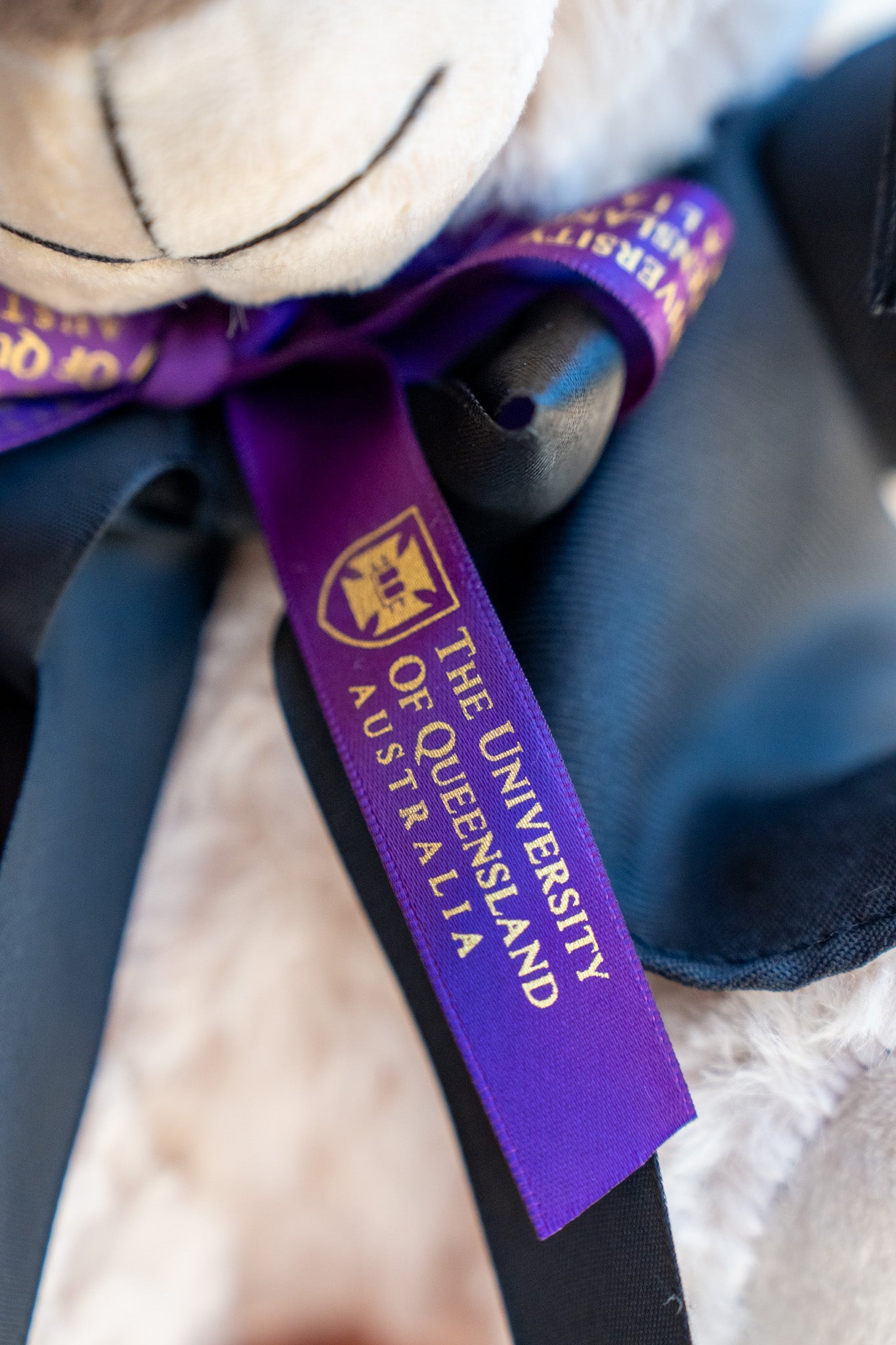 UQ Graduation Bear – UQ Shop